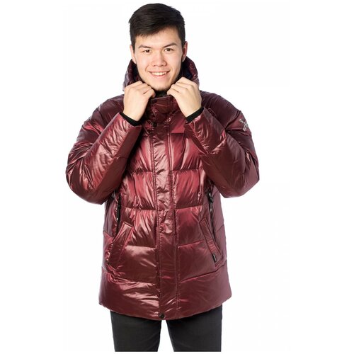 Куртка SHARK FORCE, размер 46, бордовый