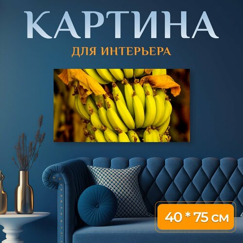 Картина на холсте "Бананы, индийский, фрукты" на подрамнике 75х40 см. для интерьера