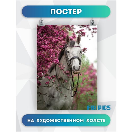 Постер на холсте Лошади конь лошадка (4) 40х60 см