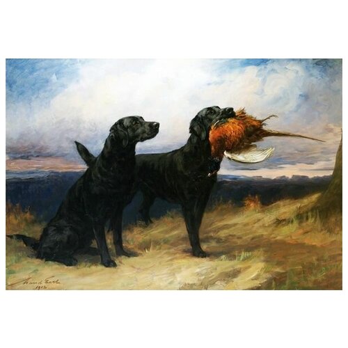 Постер на холсте Черный лабрадор (Black Labrador) 44см. x 30см.