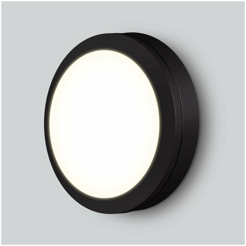 Настенно-потолочный светильник Elektrostandard Circle LTB51 LED, 15W, 6500K, цвет черный, IP65
