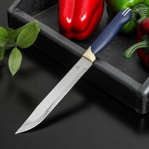 Нож для мяса и стейков Доляна «Страйп», лезвие 15 см, цвет синий