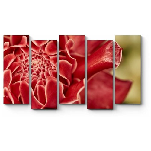 Модульная картина Сердце тропического цветка120x69