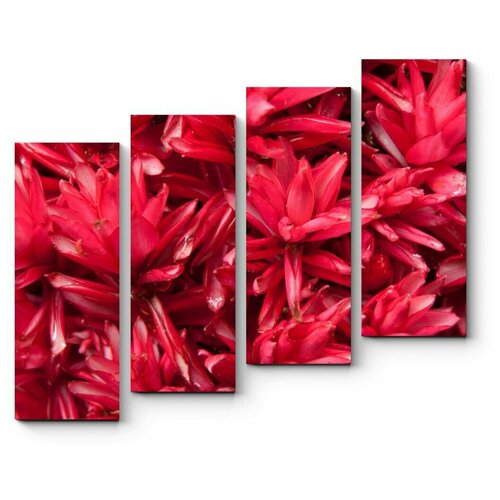 Модульная картина Красные тропические цветы90x78
