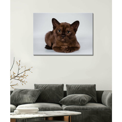 Картина - кошка, бурманская кошка, котёнок, тёмная кошка, ласковая кошка (37) 40х60