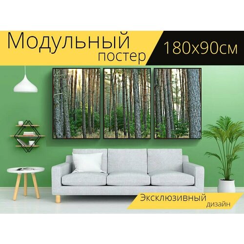 Модульный постер "Лес, дерево, сосновый лес" 180 x 90 см. для интерьера
