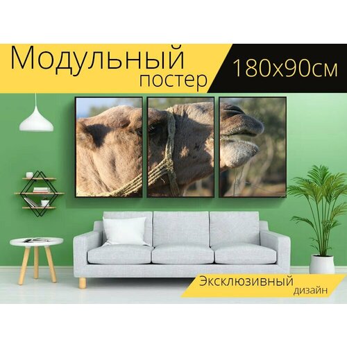 Модульный постер "Верблюд, животное, крупный план" 180 x 90 см. для интерьера