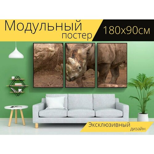 Модульный постер "Носорог, сафари, зоопарк" 180 x 90 см. для интерьера