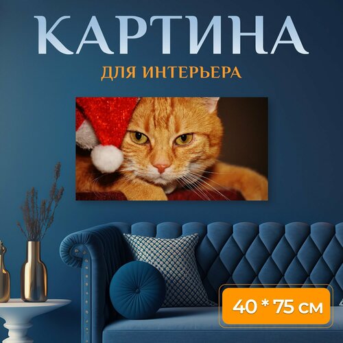 Картина на холсте "Кот, похмелье, красный" на подрамнике 75х40 см. для интерьера