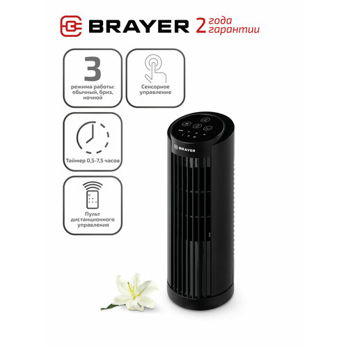 Вентилятор настольный BRAYER BR4978 с вращением корпуса пультом ДУ, таймер