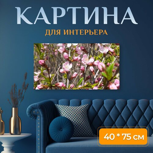 Картина на холсте "Весна, цветы, природа" на подрамнике 75х40 см. для интерьера