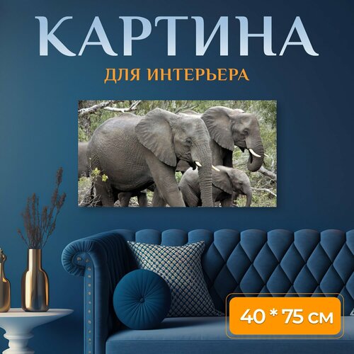 Картина на холсте "Стадо слонов, слон, африке" на подрамнике 75х40 см. для интерьера