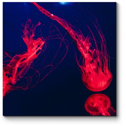 Модульная картина Алая медуза 40x40