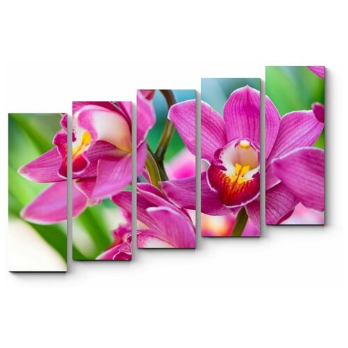 Модульная картина Тайские орхидеи, Чиангмай (Таиланд) 100x70