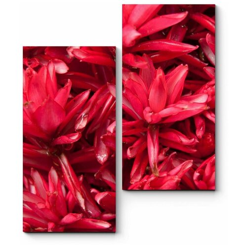 Модульная картина Красные тропические цветы100x125