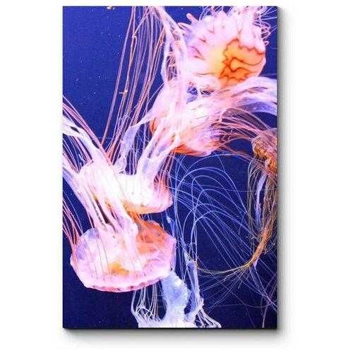 Модульная картина Очаровательные медузы20x30