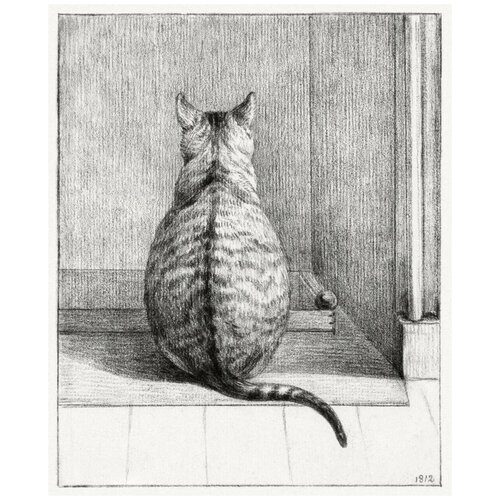 Постер / Плакат / Картина Кошки - Сидящая кошка сзади 50х70 см в подарочном тубусе