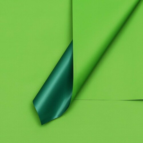 Пленка двухсторонняя 0,57 х 0,57 см зелёный (20 шт)