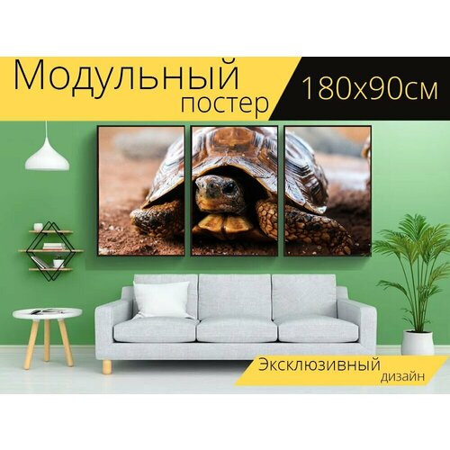 Модульный постер "Черепаха, природа, медленный" 180 x 90 см. для интерьера