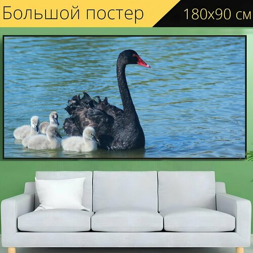 Большой постер "Вода, лебедь, птица" 180 x 90 см. для интерьера