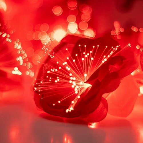 RISALUX Декоративная подсветка "Маки" 20хLED 4000К 5м красный 500х9х9см