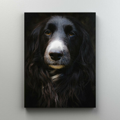 Интерьерная картина на холсте "Собака - английский кокер спаниель" собаки, размер 30x40 см