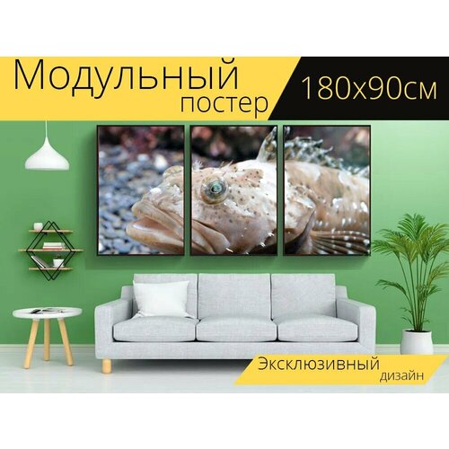 Модульный постер "Бычок, рыба, донная рыба" 180 x 90 см. для интерьера