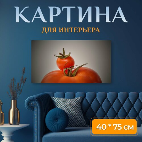 Картина на холсте "Помидоры, красный, еда" на подрамнике 75х40 см. для интерьера