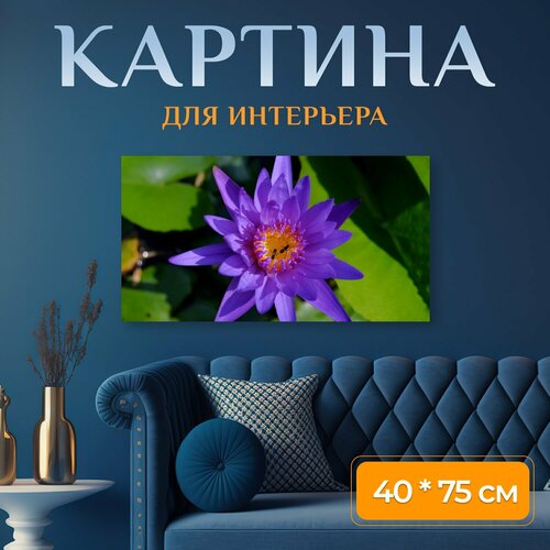 Картина на холсте "Нимфеи, цветок, жук" на подрамнике 75х40 см. для интерьера