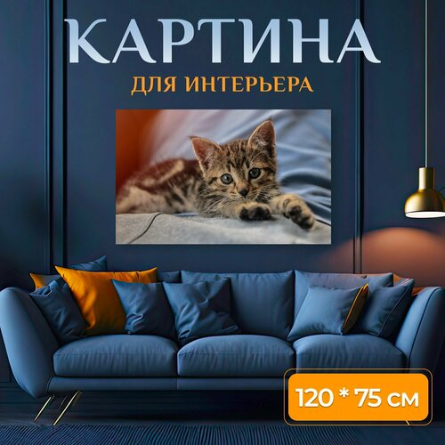 Картина на холсте "Котенок, кошка, домашний питомец" на подрамнике 120х75 см. для интерьера