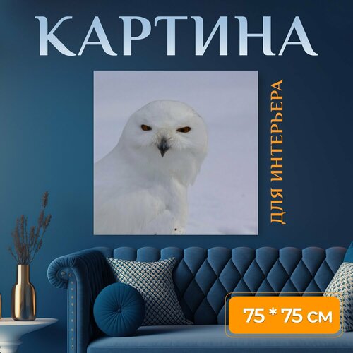 Картина на холсте "Снежная сова, зима, хищник" на подрамнике 75х75 см. для интерьера