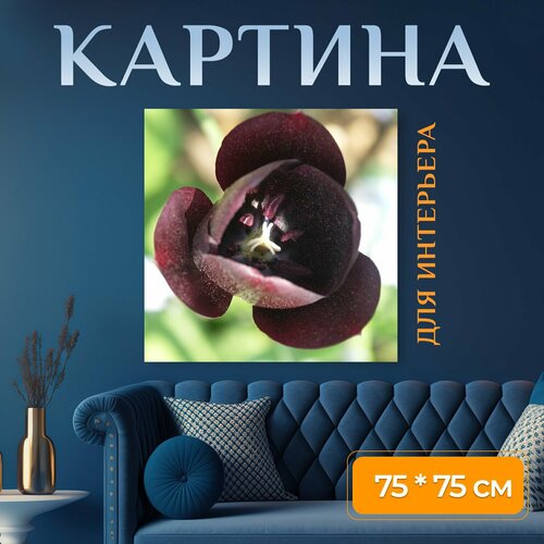 Картина на холсте "Тюльпан, чернить, цветок" на подрамнике 75х75 см. для интерьера