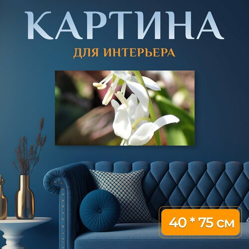Картина на холсте "Весенний цветок, белый, весна" на подрамнике 75х40 см. для интерьера