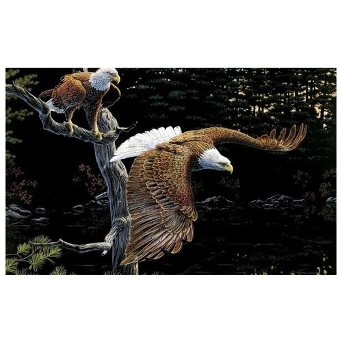 Постер на холсте Орлы (The Eagles) №2 48см. x 30см.