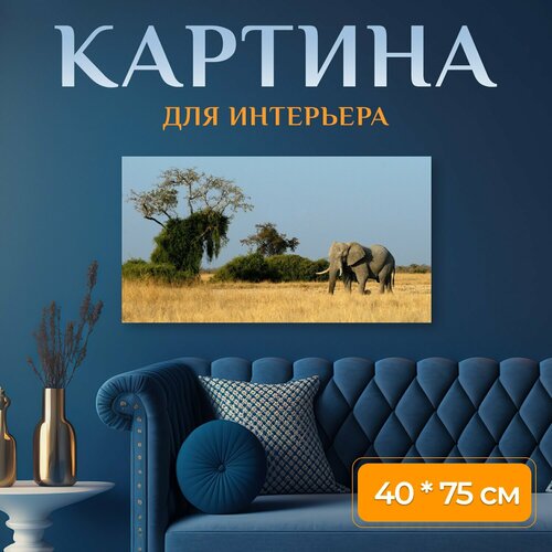 Картина на холсте "Слон, ботсвана, савути" на подрамнике 75х40 см. для интерьера