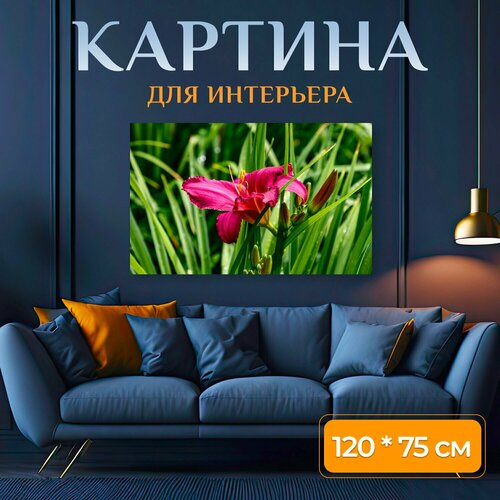 Картина на холсте "Лилейник, цветок, лепестки" на подрамнике 120х75 см. для интерьера
