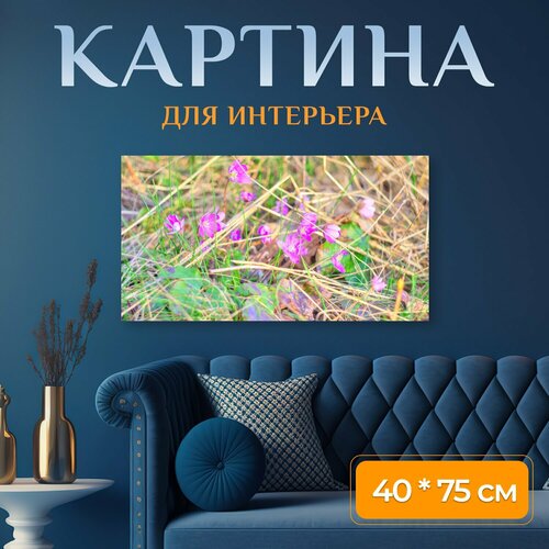 Картина на холсте "Трава, цветок, природа" на подрамнике 75х40 см. для интерьера