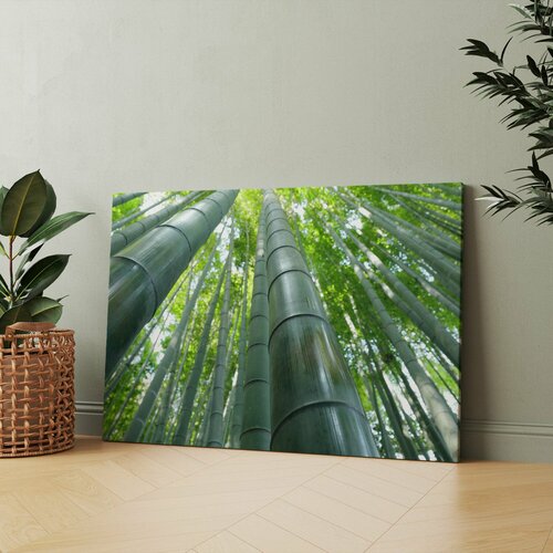 Картина на холсте "Высокое бамбуковое дерево с большим количеством зеленых листьев" 50x70 см. Интерьерная, на стену.