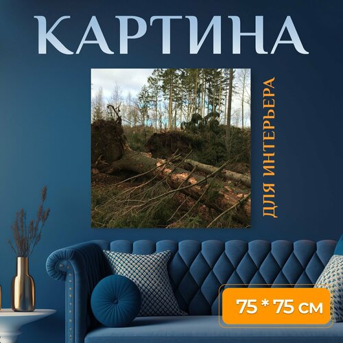 Картина на холсте "Природа, лес, падение" на подрамнике 75х75 см. для интерьера