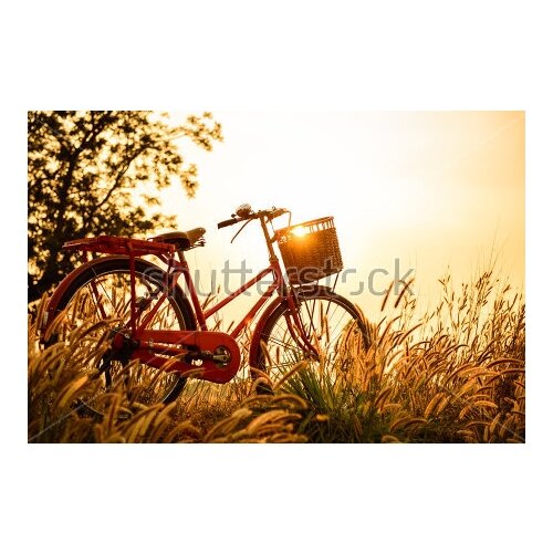 Постер на холсте Красивый пейзаж с велосипедом на закате 75см. x 50см.
