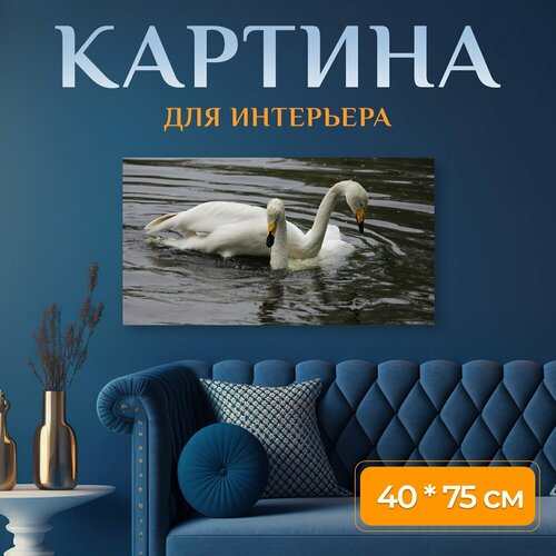 Картина на холсте "Лебеди, птицы, озеро" на подрамнике 75х40 см. для интерьера
