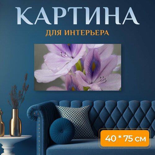 Картина на холсте "Орхидея, фиолетовый, лотос" на подрамнике 75х40 см. для интерьера