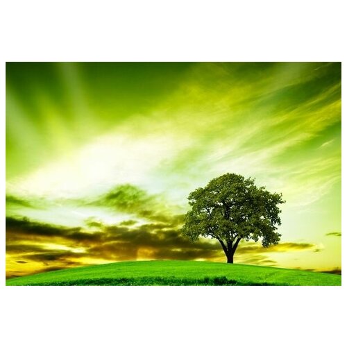 Постер на холсте Зеленое небо (Green sky) 60см. x 40см.