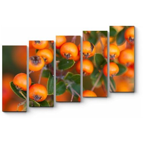 Модульная картина Спелые ягоды рябины 110x77