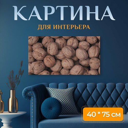 Картина на холсте "Орехи, грецкий орех, питание" на подрамнике 75х40 см. для интерьера