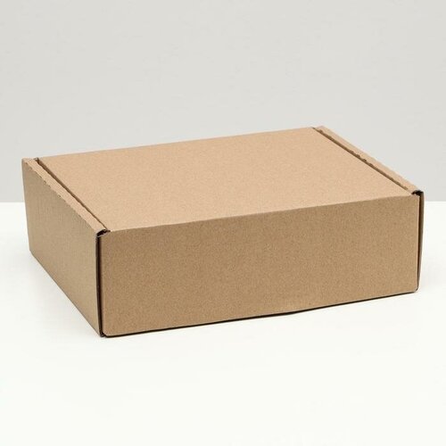 Коробка-шкатулка, бурая, 27 х 21 х 9 см(2 шт.)
