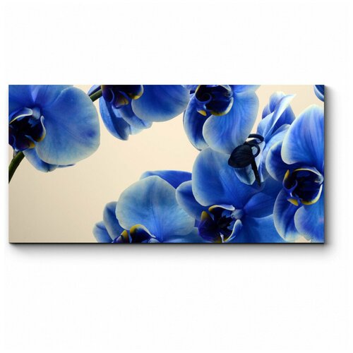 Модульная картина Синие орхидеи 120x60