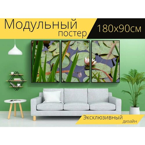 Модульный постер "Кувшинок, лилия, пруд" 180 x 90 см. для интерьера