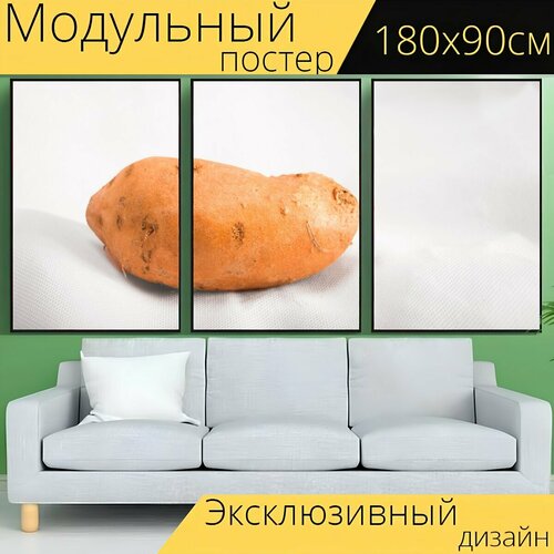 Модульный постер "Сладкий картофель, картофель, еда" 180 x 90 см. для интерьера
