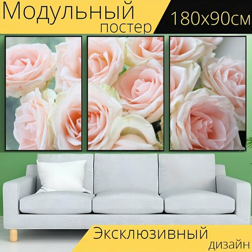 Модульный постер "Розы, цветы, розовый" 180 x 90 см. для интерьера